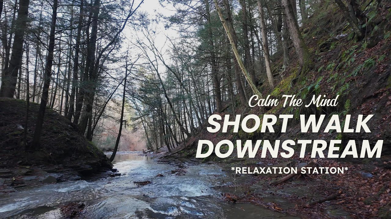 Calming Walk Downstream - YouTube