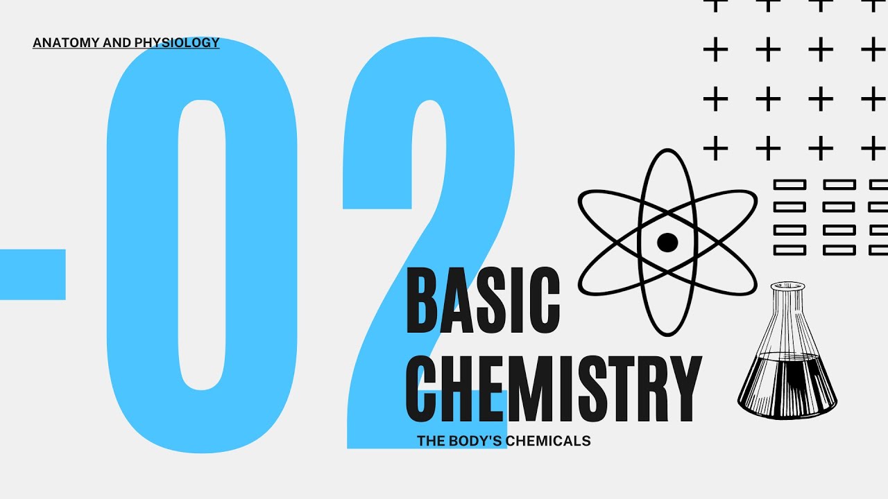 Chapter 2: Basic Chemistry - YouTube