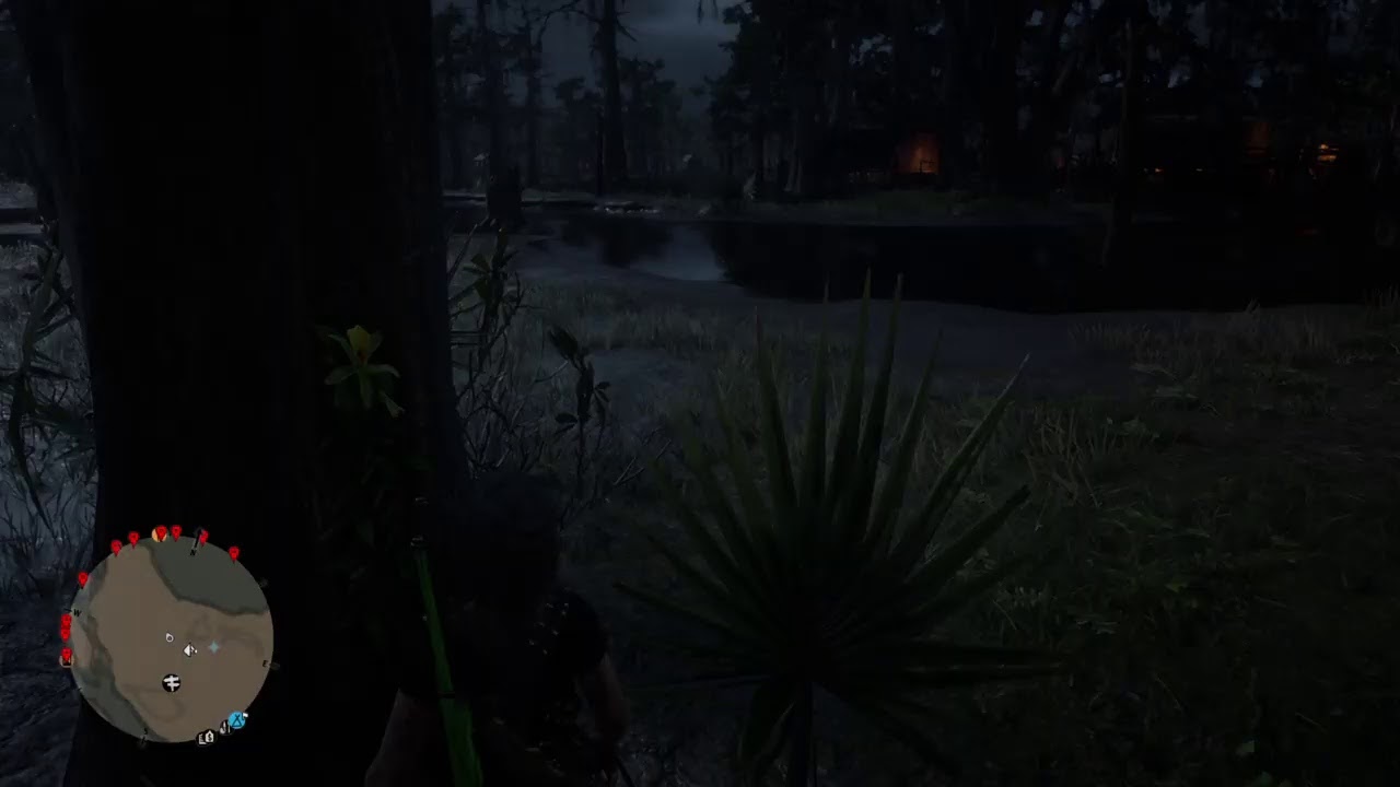Playing RDR2 WITH Sister - YouTube