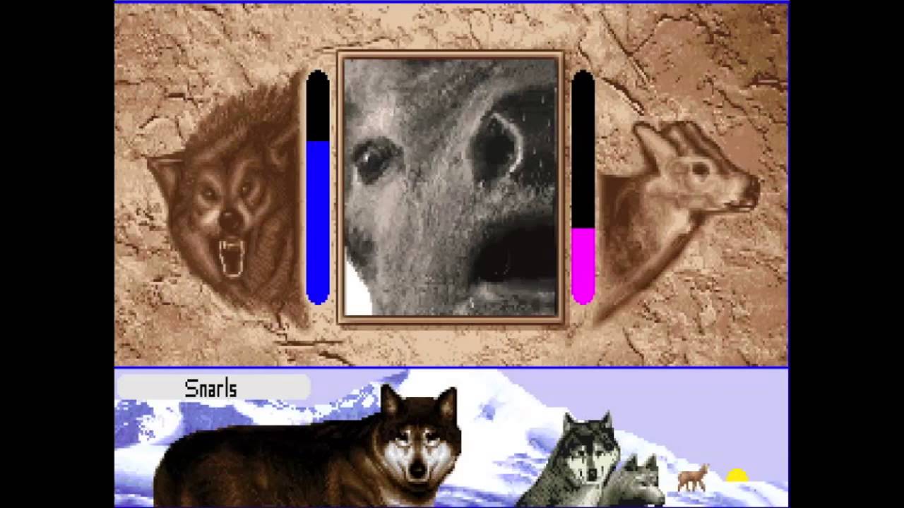 WOLF - Arctic Region - Caribou Group Hunt (Scenario #7) - YouTube