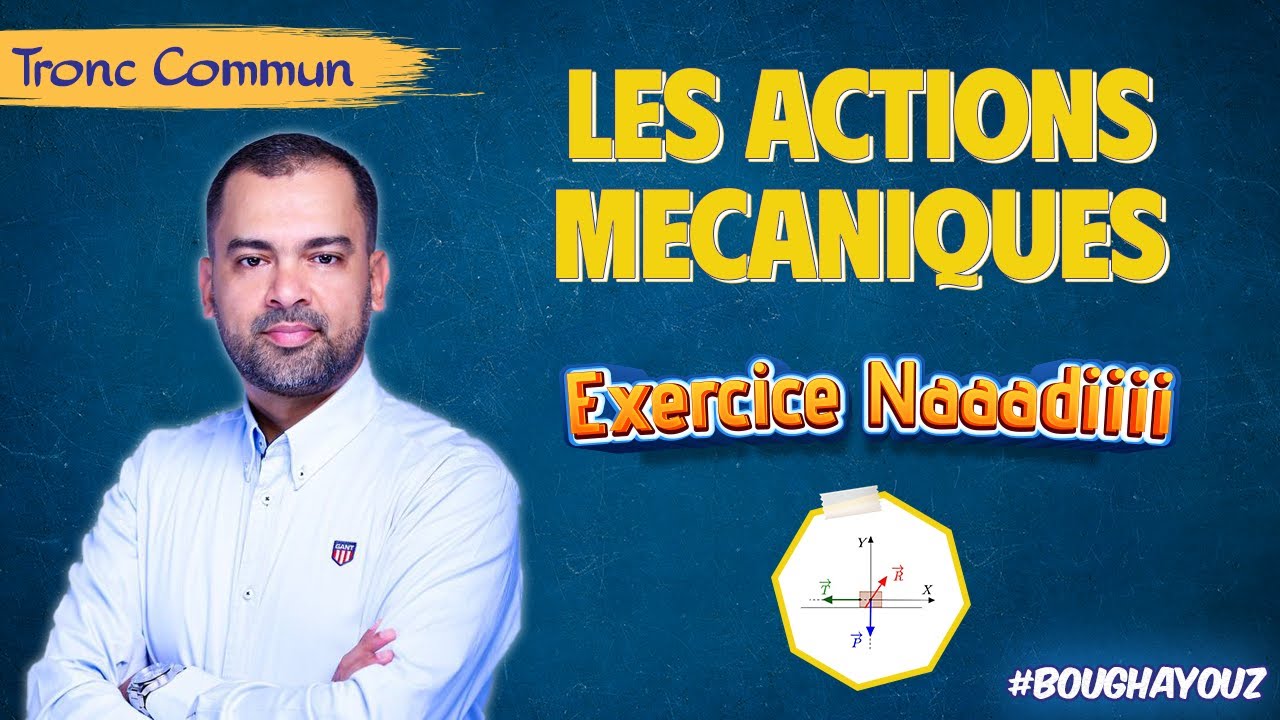 TC Biof | Les Actions Mécaniques : Exercice Complet + Astuces - avec ...