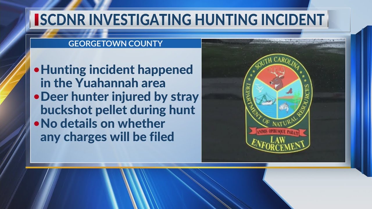 SCDNR investigating hunting incident - YouTube