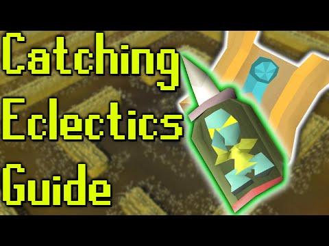 Ironman guide to eclectic implings
