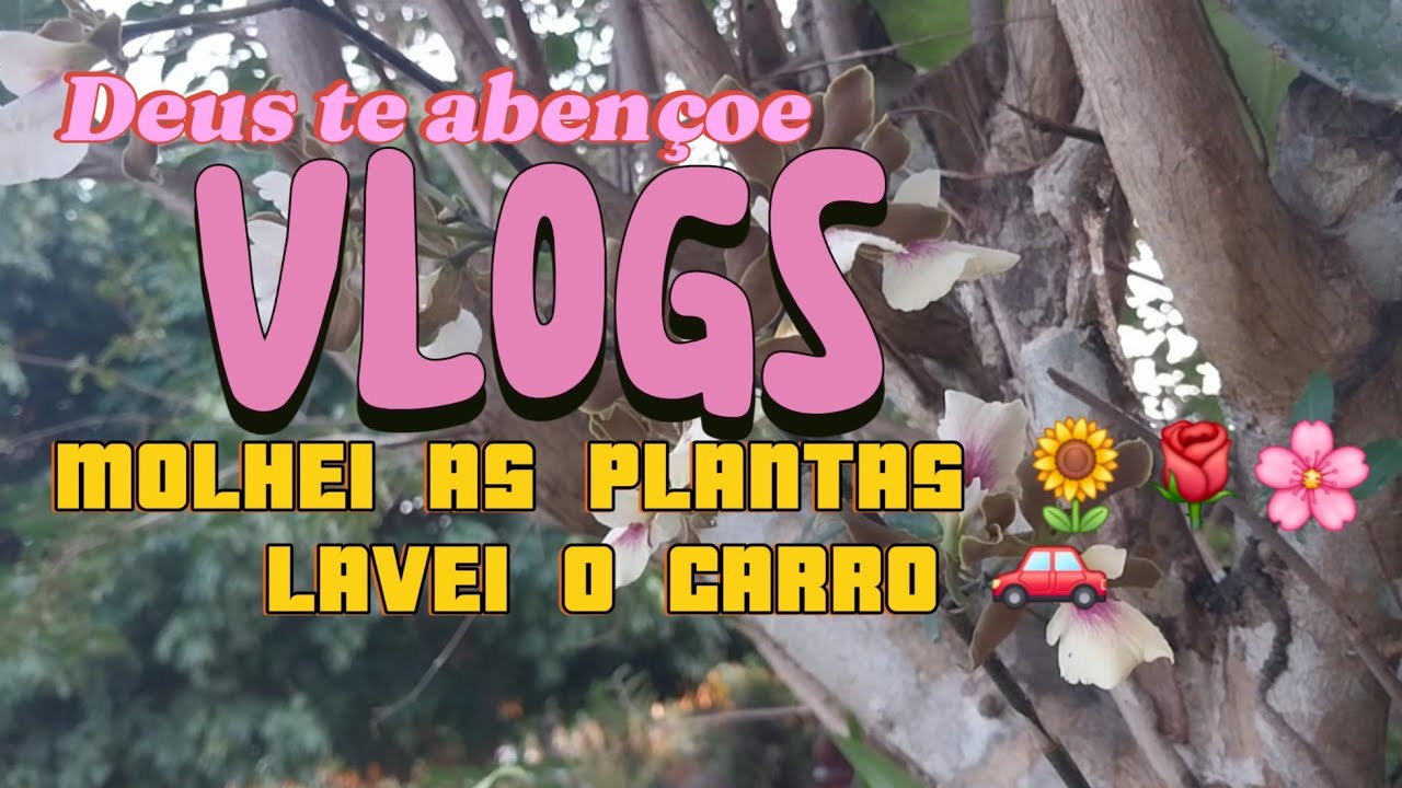 Molhei as plantas e lavei o carro 🚗 - YouTube