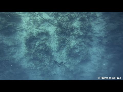 【FiDive】Freediving CWT Challenge at -30M | Moalboal, the Philippines ...