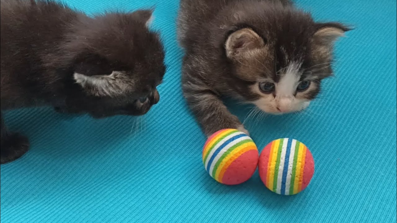 The excitement of playing two balls - YouTube