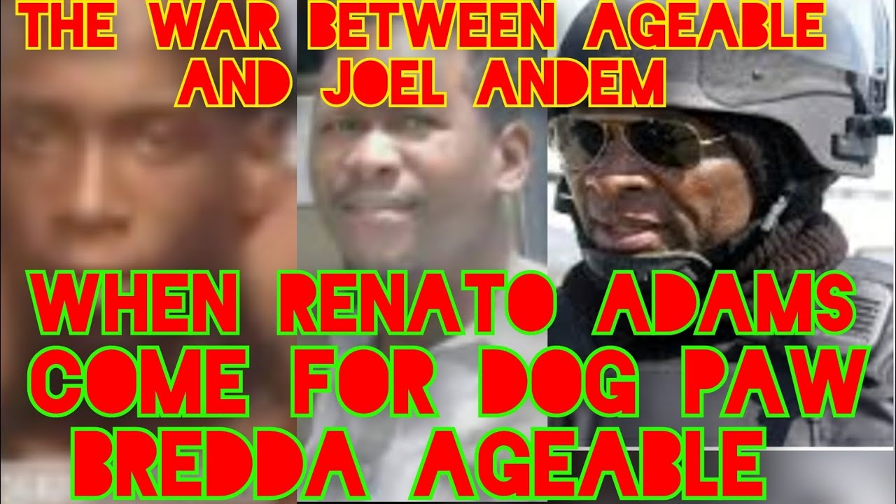 WHEN RENATO ADAMS COME FOR DOG PAW BREDDA AGEABLE IN THE WAR WITH JOEL ...