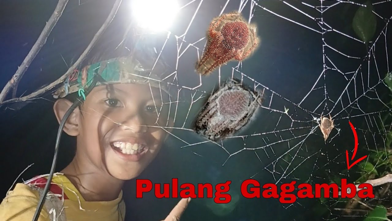 Pulahin na Gagamba! #gagamba #spider #viralvideo #viralpost - YouTube