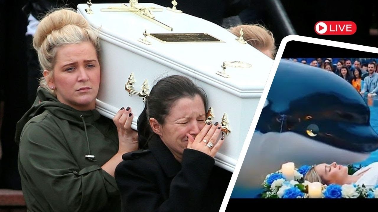 Dolphin/Orca Crying in Jessica (Dolphin Trainer Funeral Ceremony Near ...