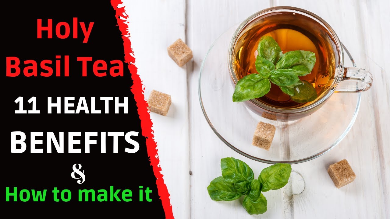Holy Basil Tea: 11 Health Benefits & How to Make it - YouTube