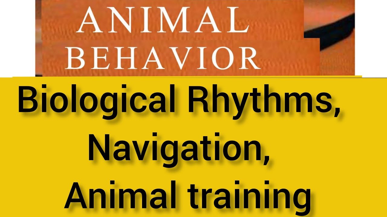 Biological Rhythms, Navigation, Animal training. | Animal Behavior ...