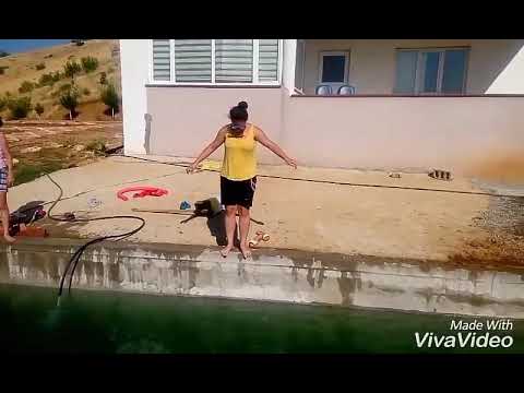 Ödül almış kısa film | Gule'ler de uçar