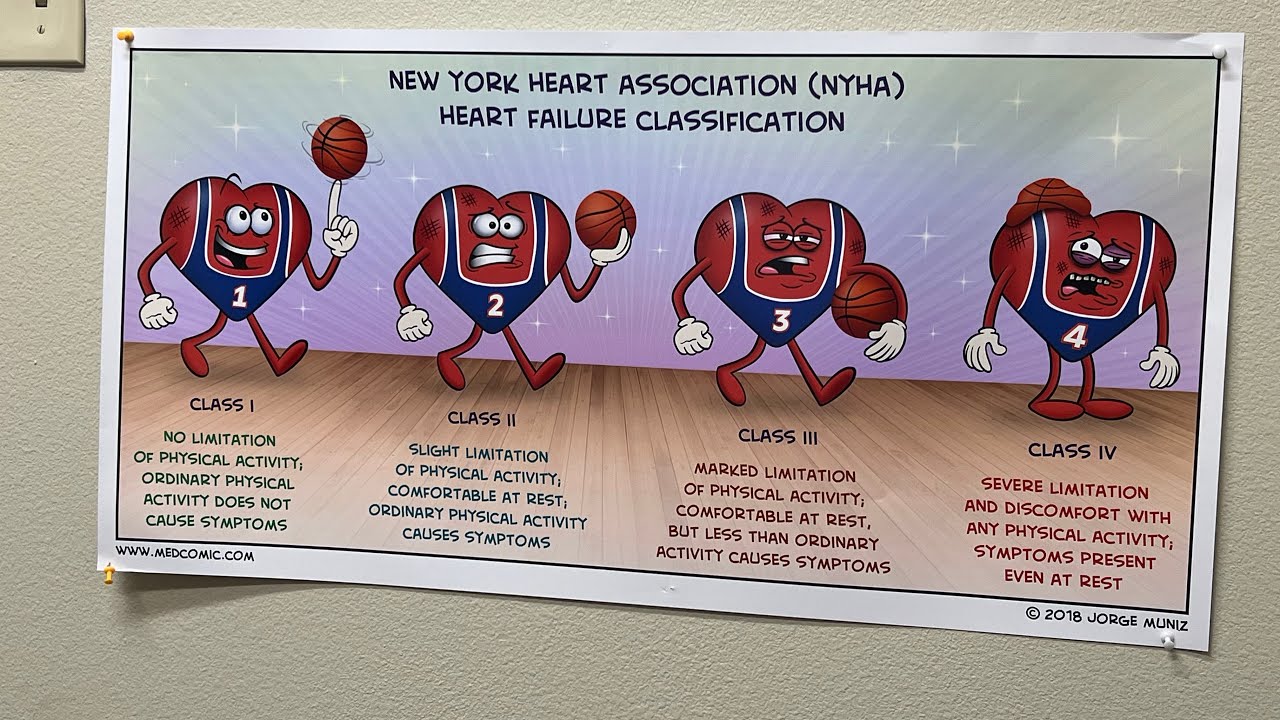 How is Cardiac Rehabilitation Going? The road to recovery update from ...