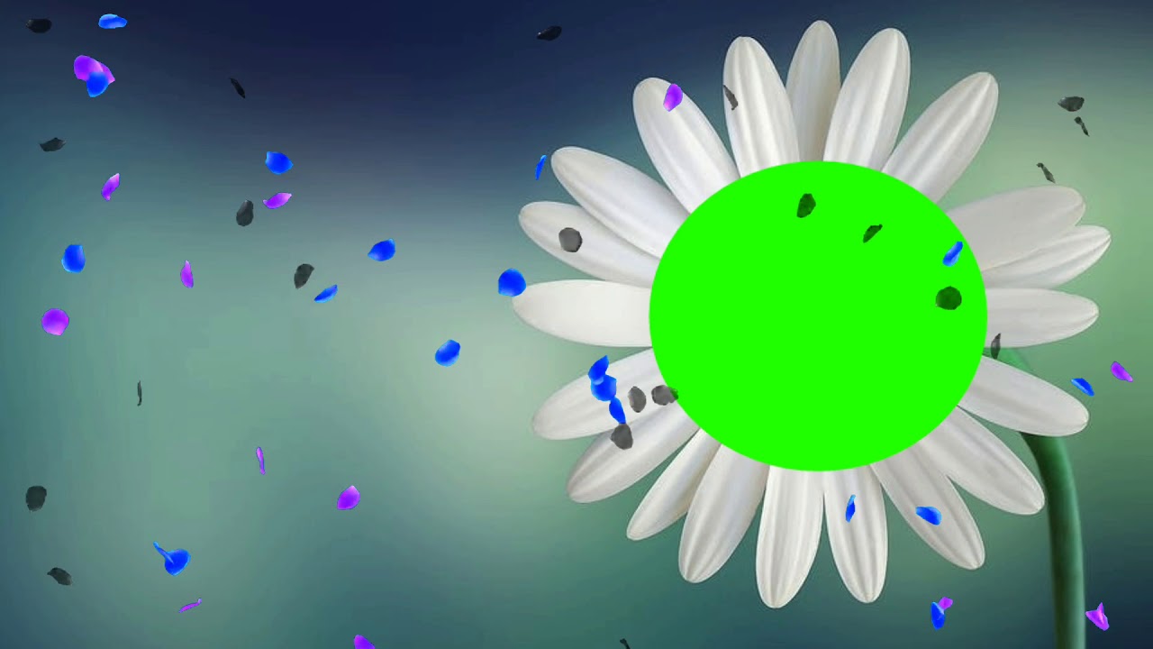 New Green Effect Video||New Green Screen Video||New Green Screen Effect ...