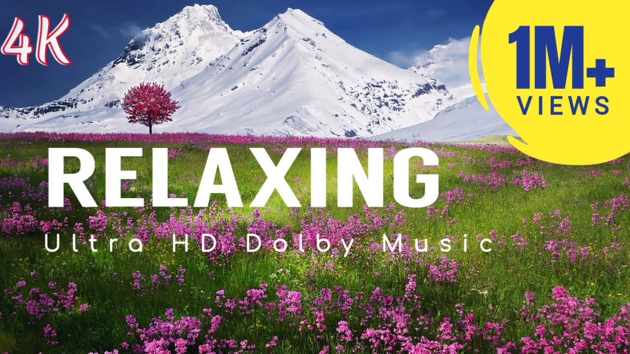 🌻4K Ultra HD Relaxing Dolby Zen Music with Nature's Sounds - YouTube