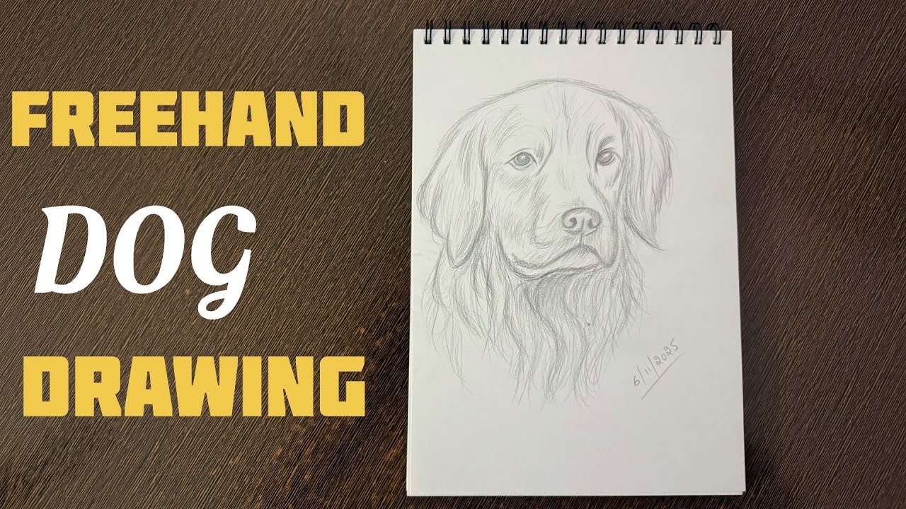 How to Draw a Dog || Realtime Freehand Drawing Tutorial - YouTube