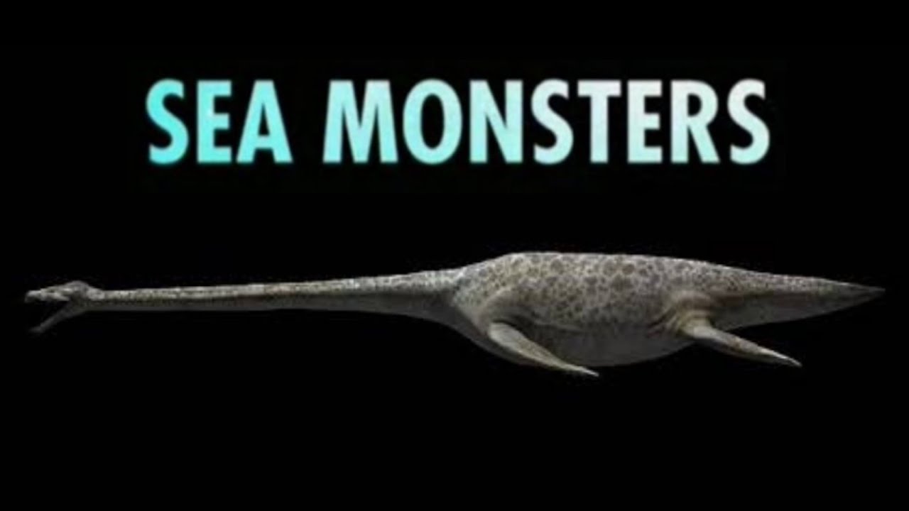 Sea Dinosaurs Elasmosaurus