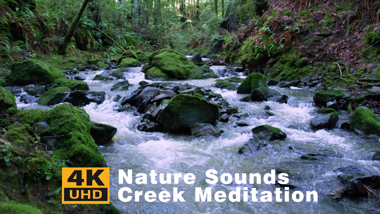 4K Babbling Creek | Water Sound Meditation | Brook After Rain | Nature ...