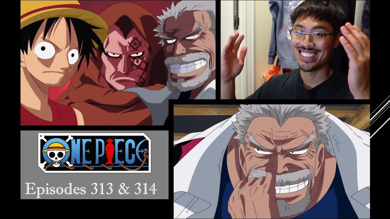 Luffy's Family Tree! One Piece Episode 313 & 314 Reaction - YouTube