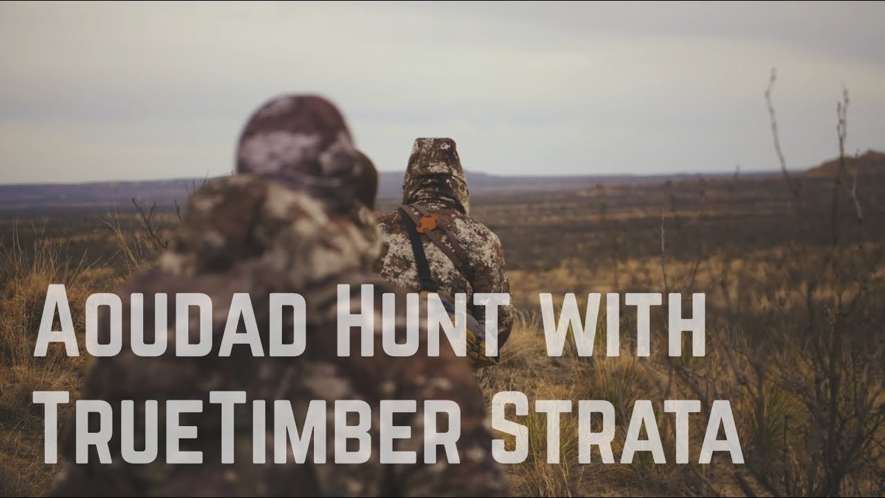 TrueTimber Strata Camouflage Dominates During West Texas Aoudad Hunt ...