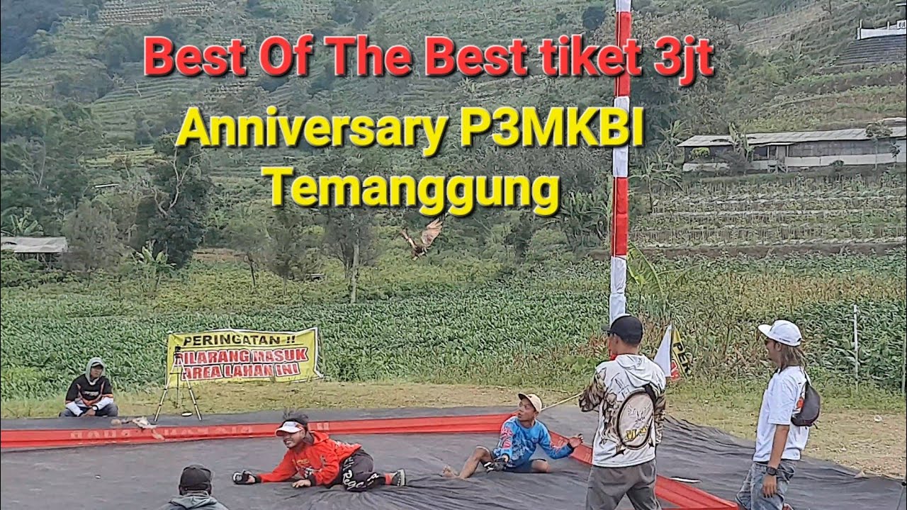 VLOG || B.O.B tiket 3jt Lapak Mantul Garuda Yaksa Ngempon , Temanggung ...
