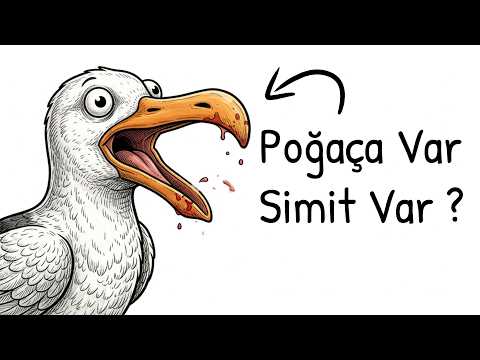 EĞER BİR MARTI OLARAK DOĞSAYDIN ?
