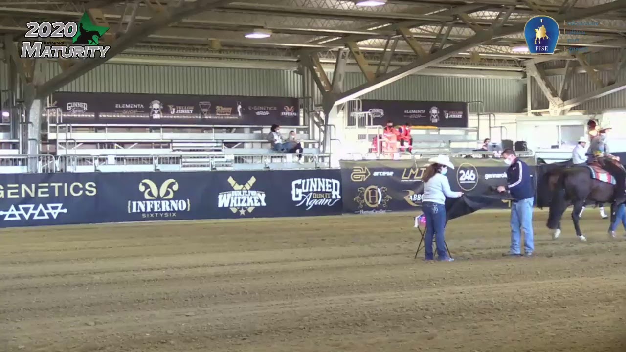 IRHA/ELEMENTA MATURITY 2020 - YouTube