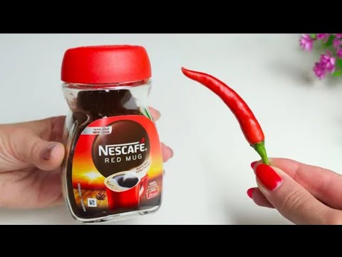 Coffee - Chili 🌶️ Mix is the New Secret Recipe. A very Simple Recipe ...