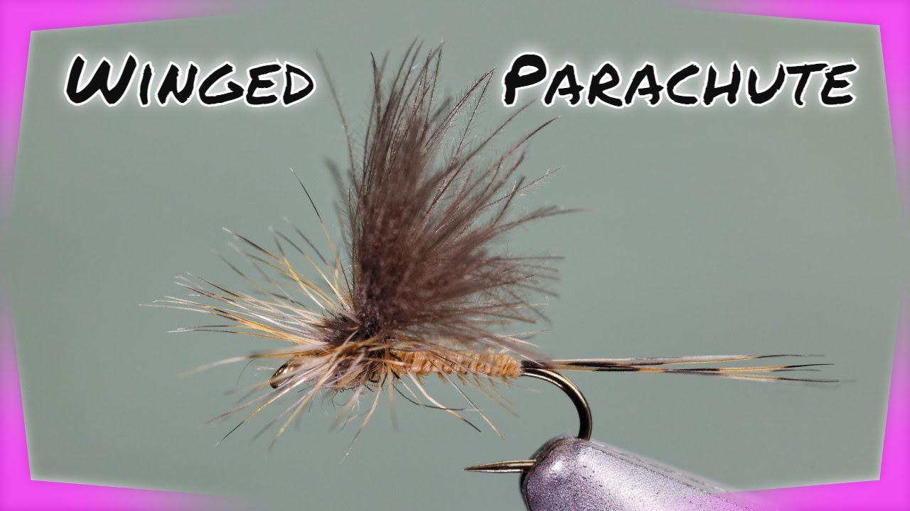 Tying a CDC winged parachute dry fly pattern (Orange Dun) - YouTube