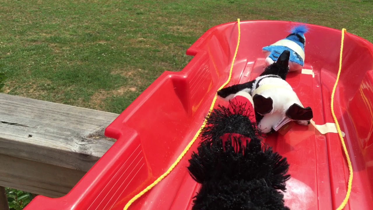 (Kinda) indoor sledding 3 - YouTube