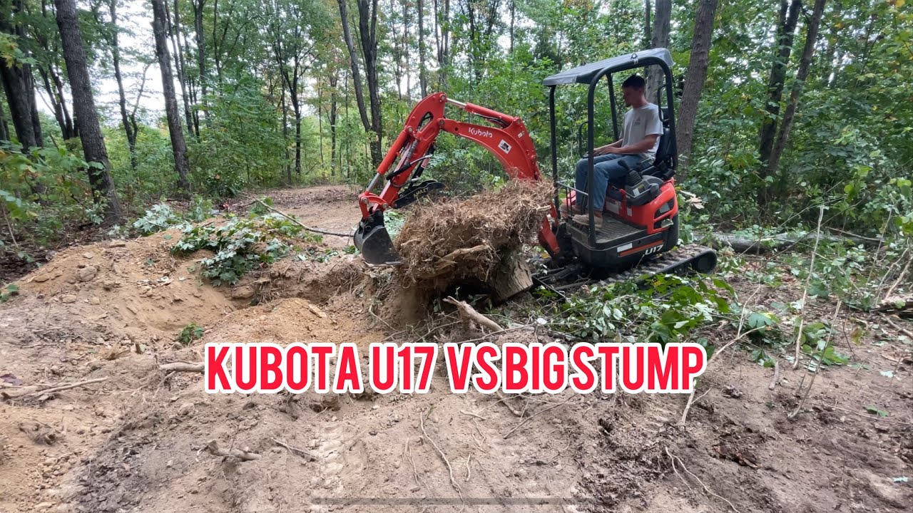 Digging around trees and pushing them over with the KUBOTA U17 - YouTube