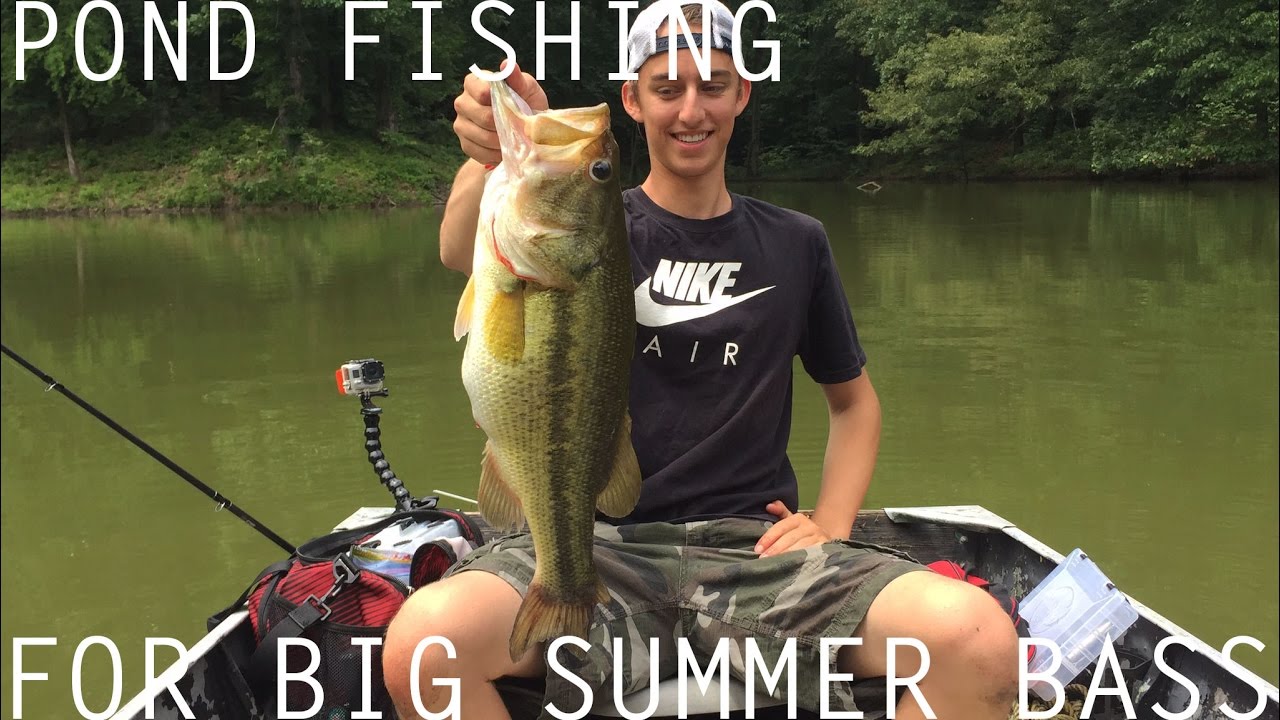 Summertime Pond Fishing For BIG Bass- 45LBS!!! - YouTube