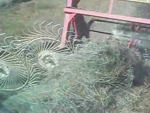 Tedder raking hay with H&S hay machine II & case 2290 tractor - YouTube