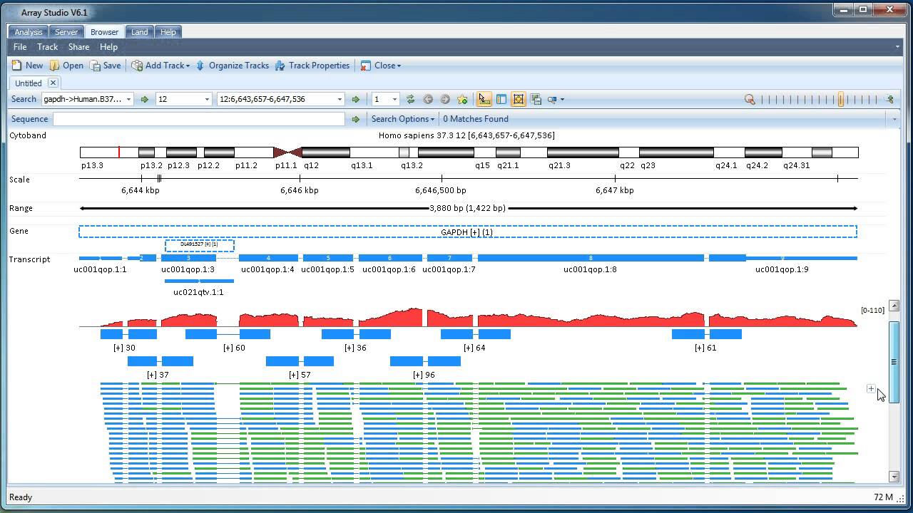 Add Genome Browser from RNA-Seq Analysis Data - YouTube