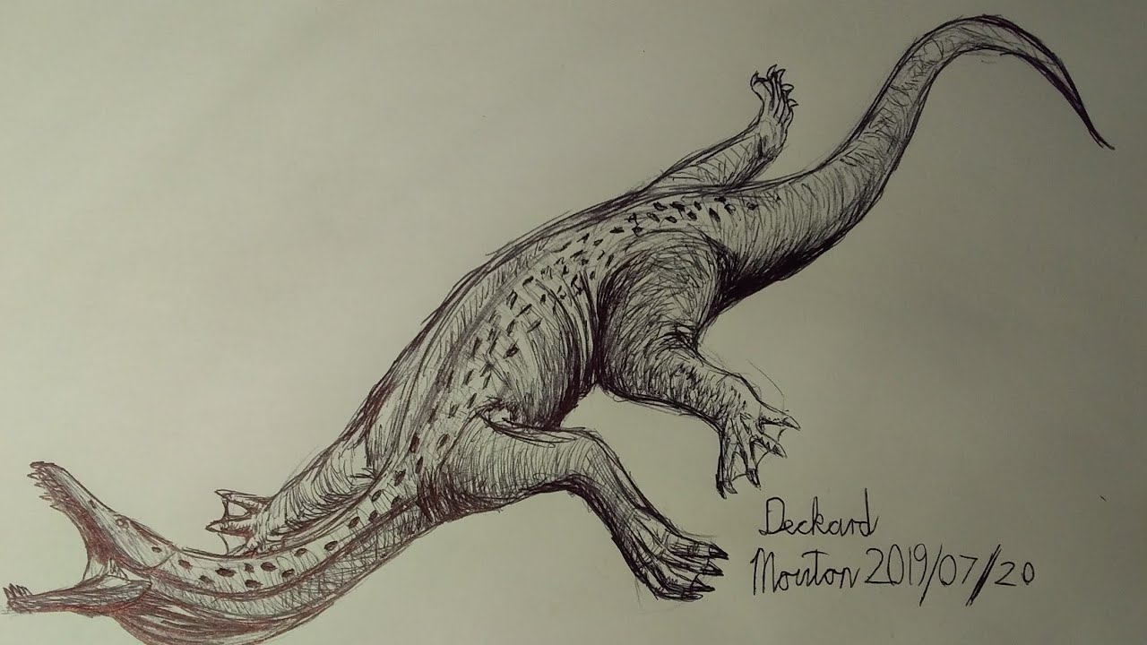 Drawing Nothosaurus - YouTube