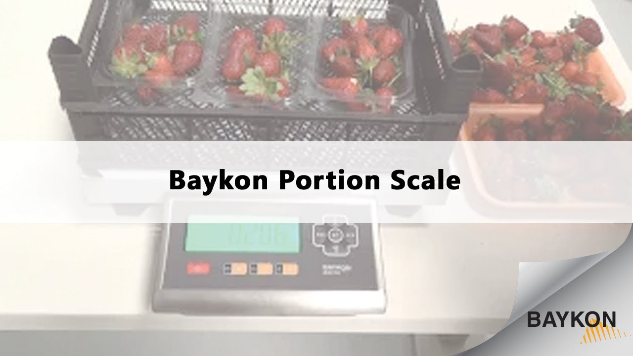 Baykon Portion Scale - YouTube