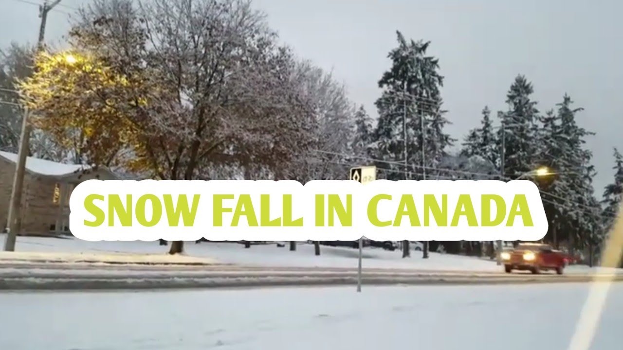 Snow fall in Canada|| winter in canada|| snow fall in Canada city||Snow ...