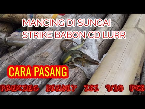 Mancing Nila Bonus CD