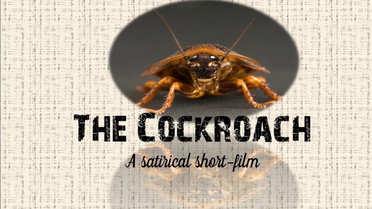 The Cockroach - A satirical short-film - YouTube
