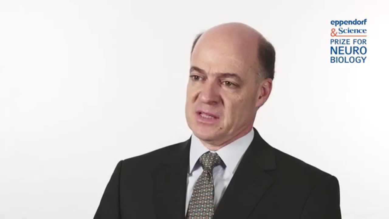 Eppendorf & Science Prize 2014, Jury Chair Dr. Peter Stern - YouTube