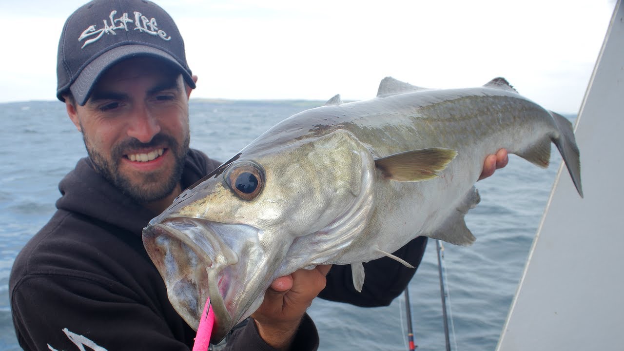 SO MANY FISH!! Epic Reef & Wreck Fishing with Lures!! - YouTube