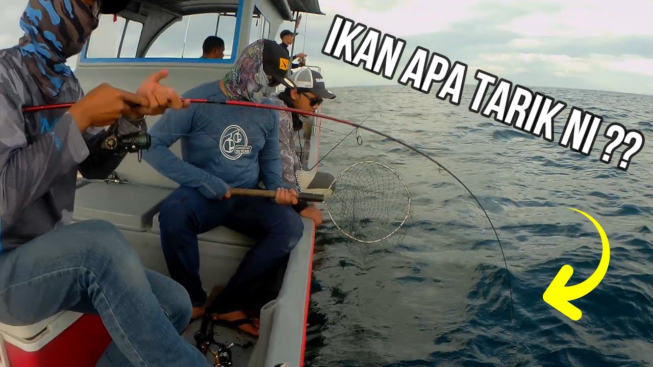 Strike bertubi-tubi !! Ikan tuas kuala dulang - YouTube