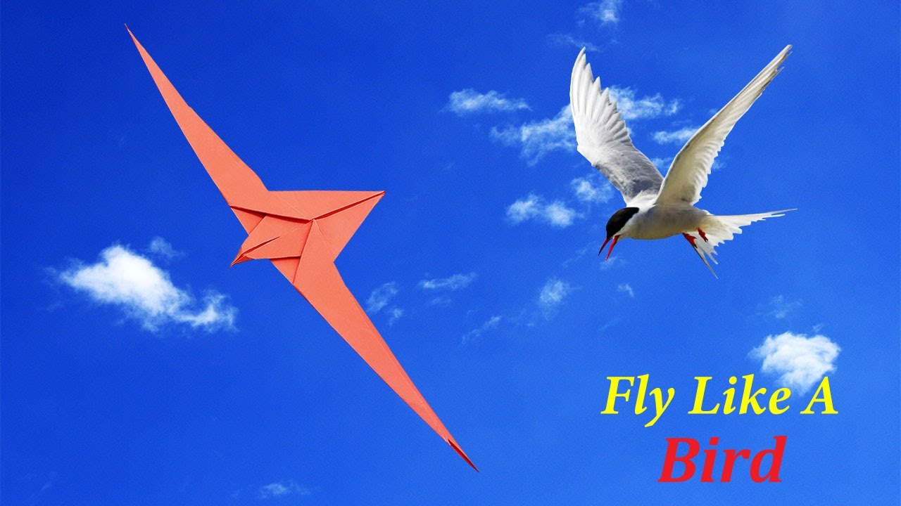 How To Make a Paper Plane That Flies Like a Bird - Flying Bird Airplane ...