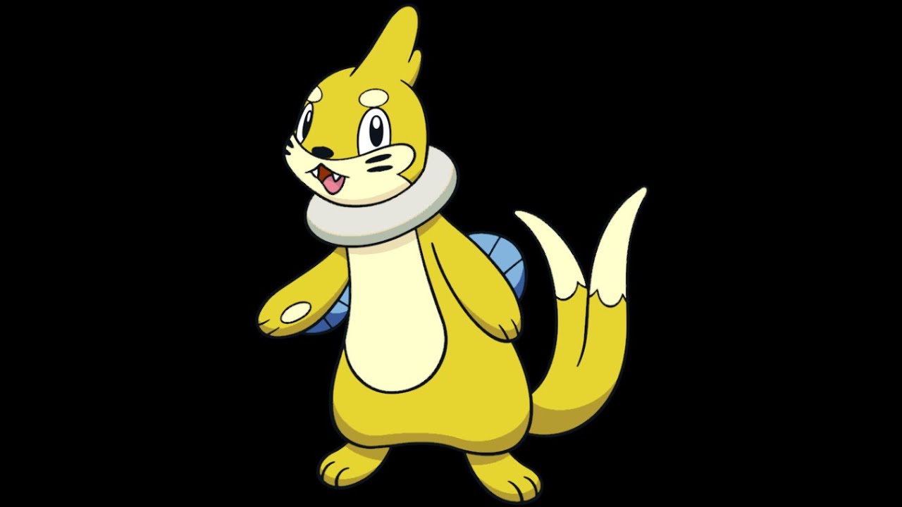 SHINY BUIZEL IN POKEMON VIOLET - YouTube