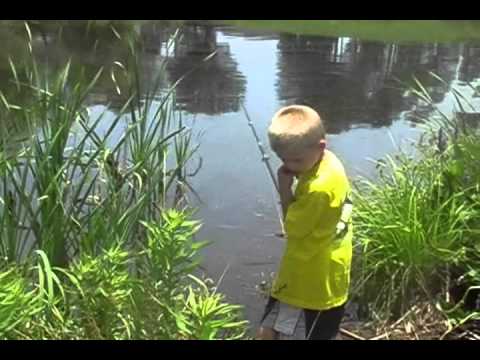 Bullfrog catching.wmv - YouTube