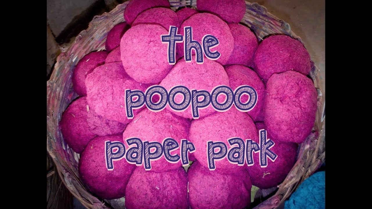 Visiting the Poo Poo Paper Park! - YouTube