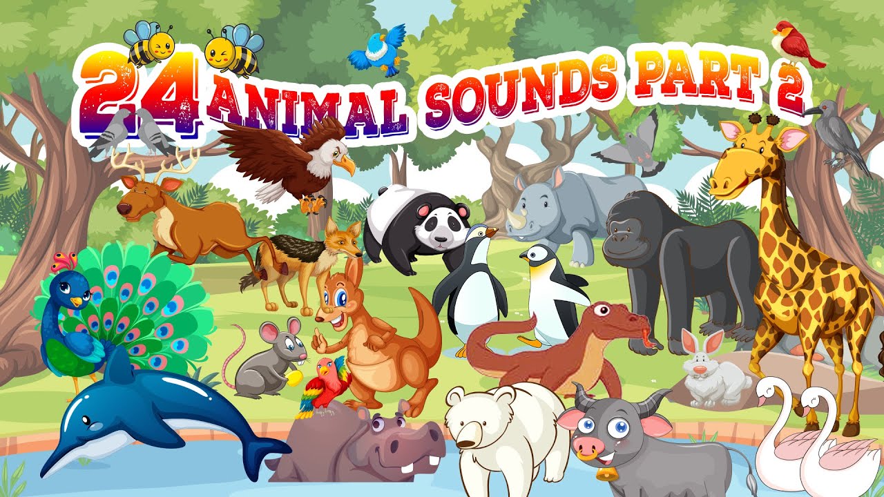 Animal Sounds Part 2 | 24 Animals with their sounds - YouTube