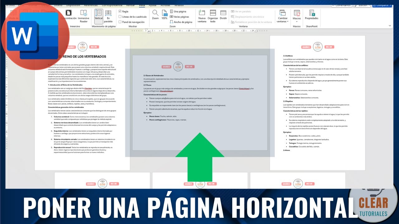 📄 Como Poner Una Sola Página en Horizontal en Word Sin Afectar al Resto ...