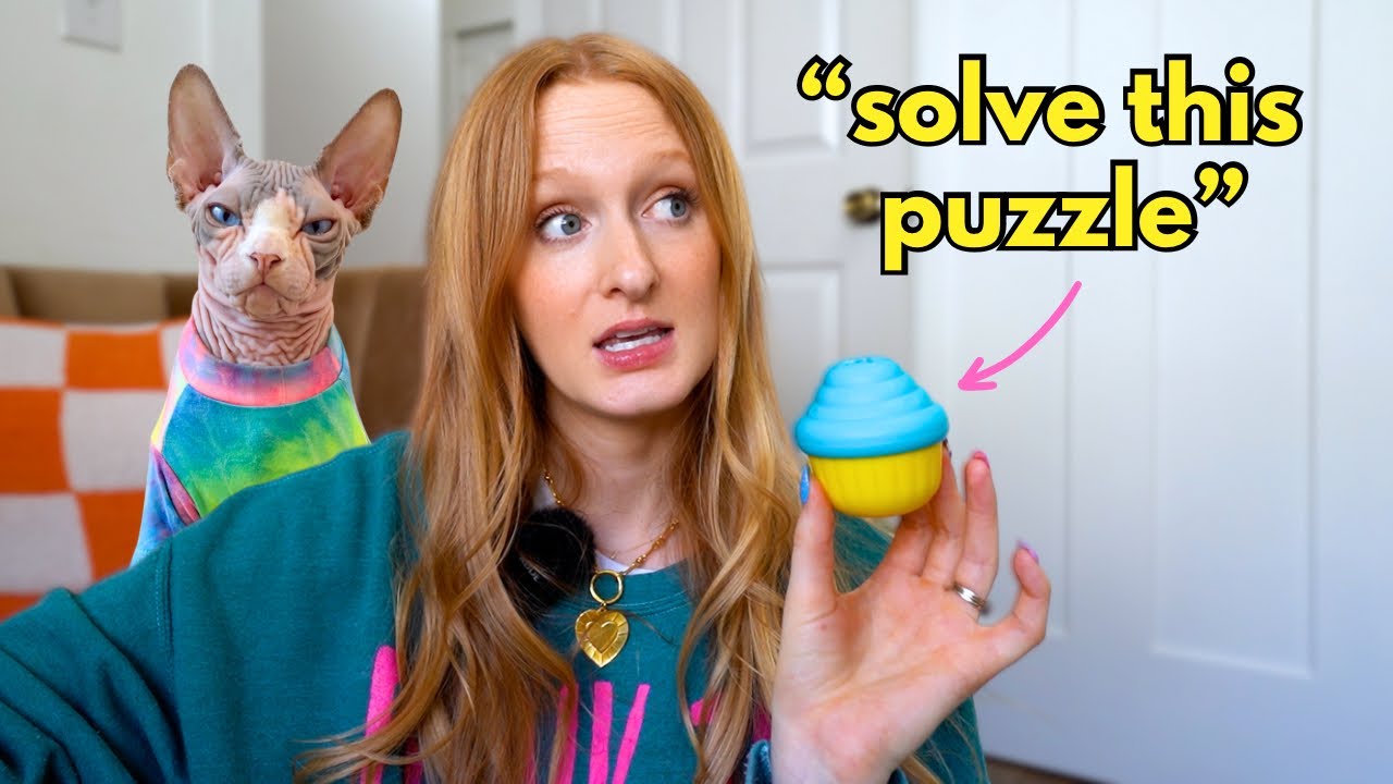 I Tested My Cat's IQ - YouTube