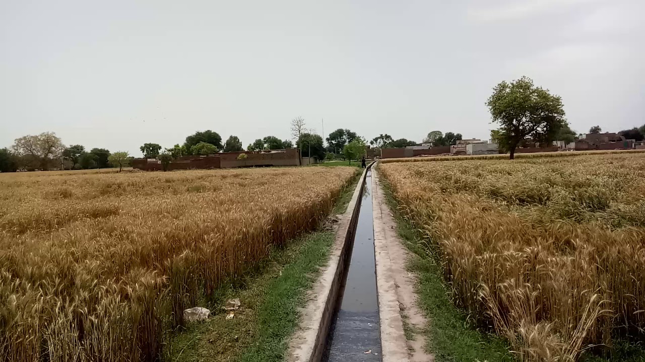 Beautiful view of Punjab village | Climate of Punjab |Chacha Choudhry ...